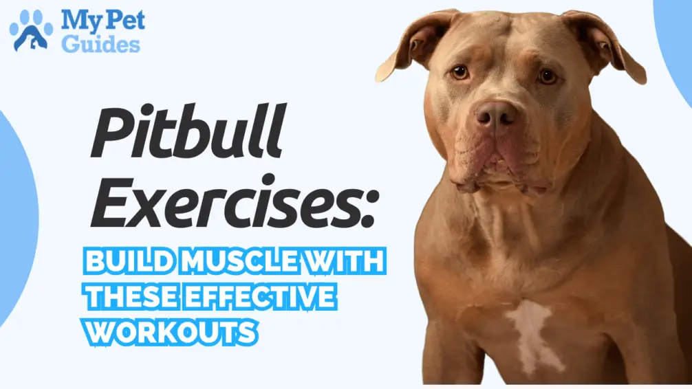 Pitbull Exercises: Build Muscle With These Effective Workouts